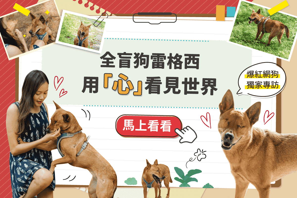 【獨家專訪】全盲狗雷格西帶著媽媽的愛用「心」看見世界｜毛起來．寵你與毛孩多更多 – 毛起來 MAOUP